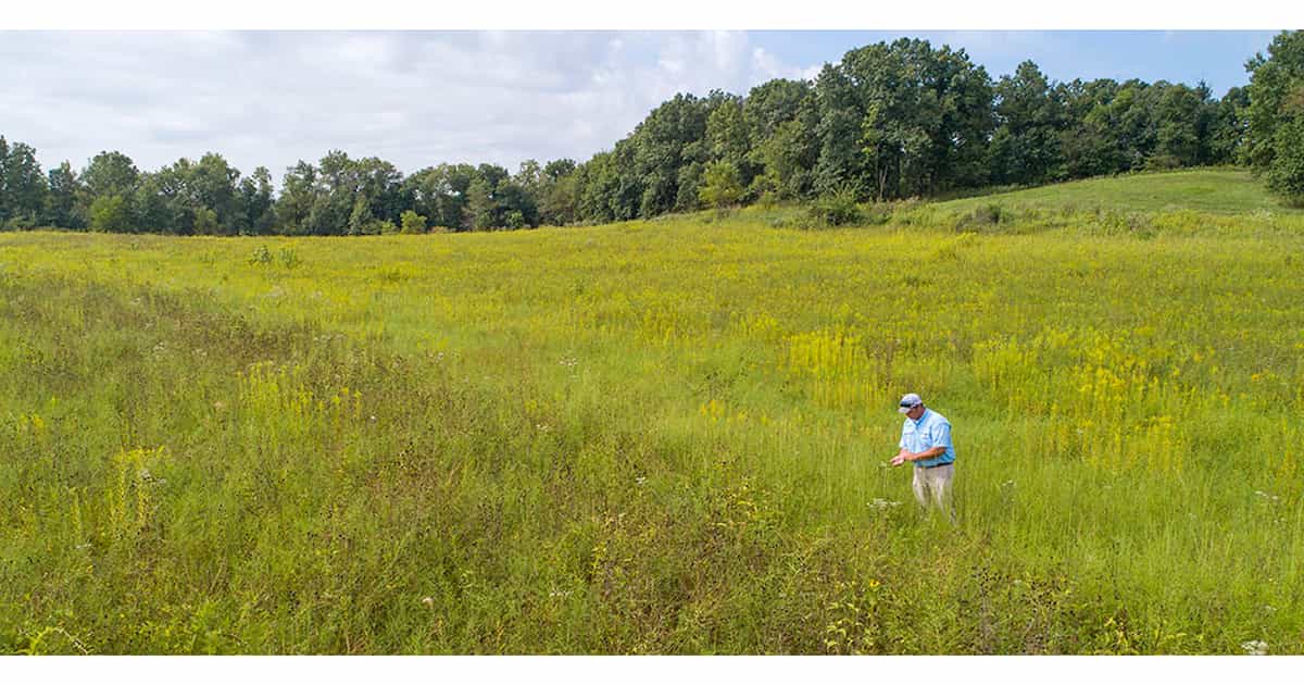 Conservation | MFA-inc.